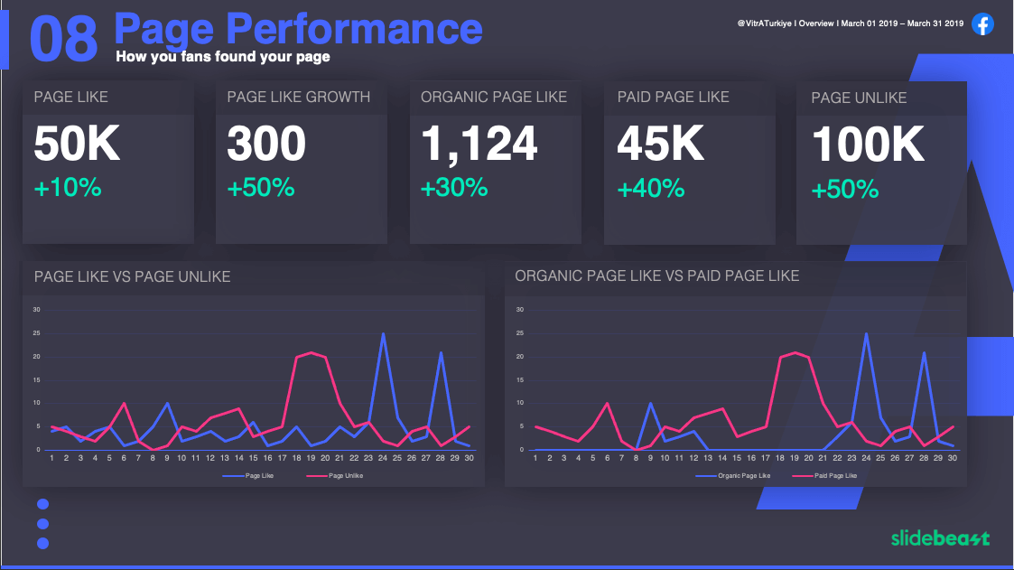 Facebook Page Like Report Template I Slidebeast